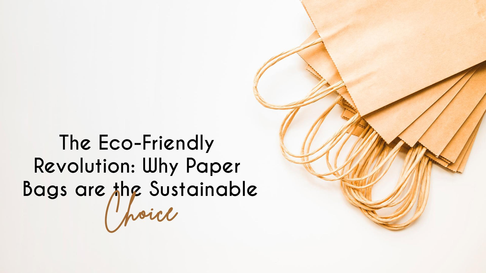 Paper Bags: The Eco-Friendly Choice for Sustainable Living - Packware
